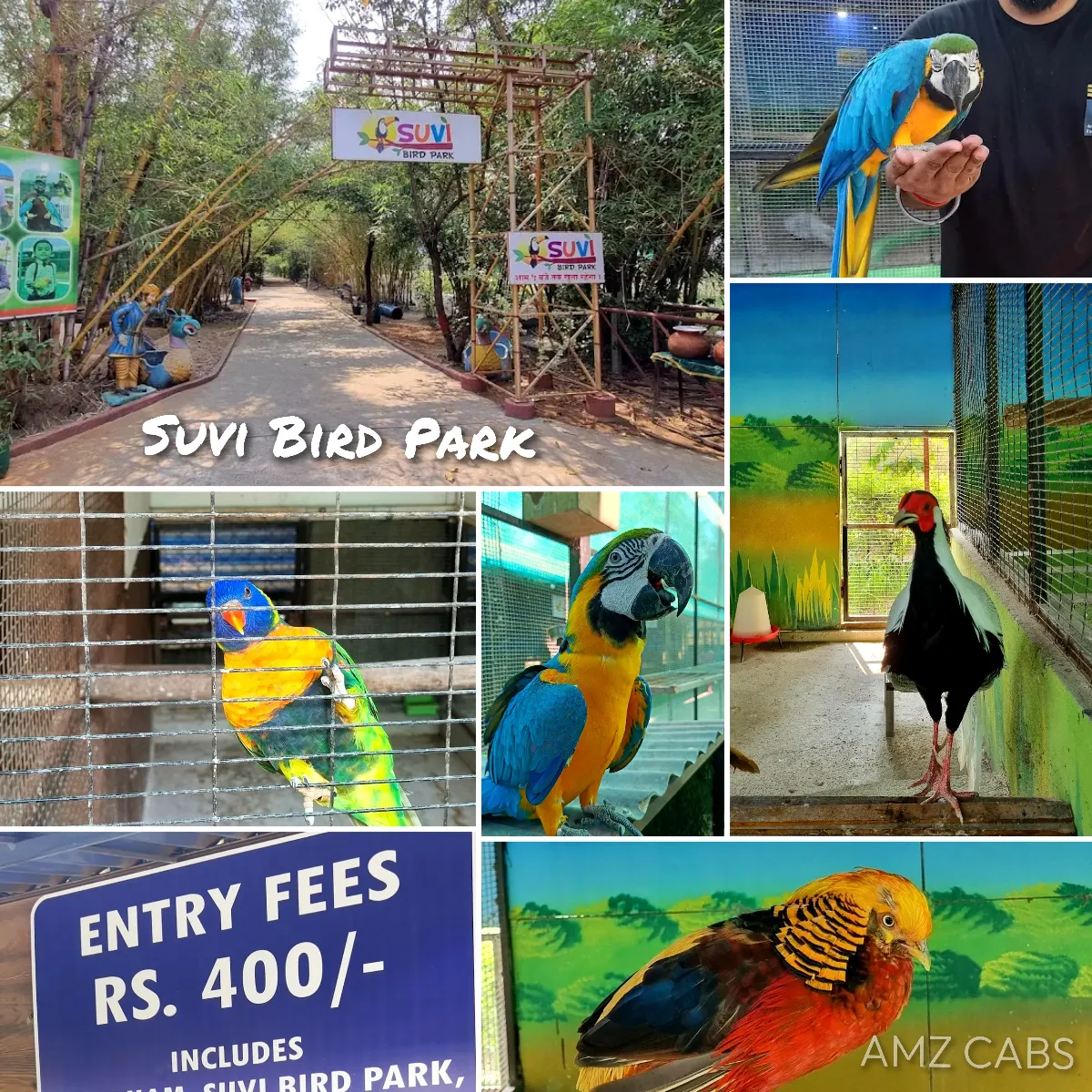 Suvi Bird Park Near Nagpur – Entry, Timings & Cab Booking